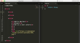 What Is a CMS and Why Should You Care?