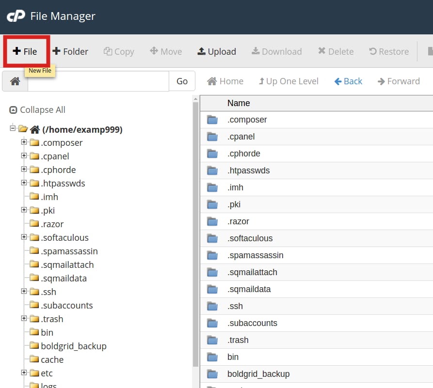 What Is WordPress htaccess? [+ How to Use and Edit It]