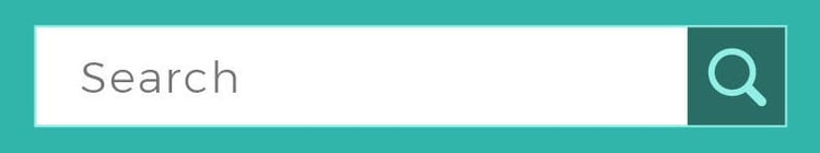 How to Design the Perfect Search Bar for Your Website