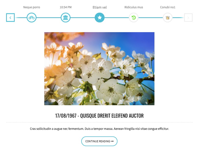 8 Best WordPress Timeline Plugins for 2023