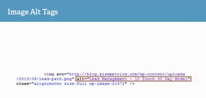 Should You Create Your Website in WordPress or HTML & CSS?
