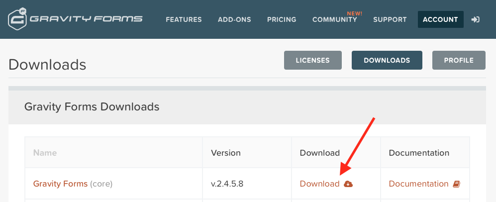 Ultimate Guide To Using Gravity Forms in WordPress - Gravity Extra