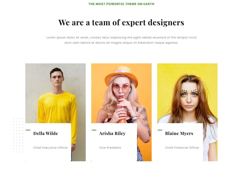 27 Best About Us and About Me Page Examples [+Templates]