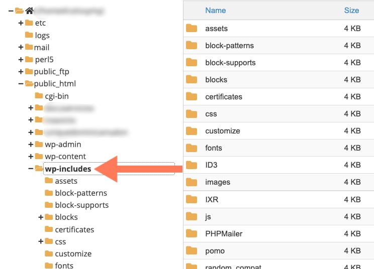 How to Check Your WordPress Version