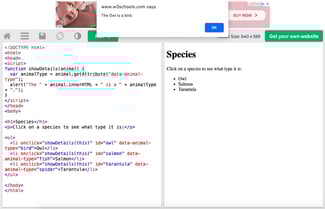 The Ultimate Guide to HTML for Beginners: How to Write, Learn & Use It