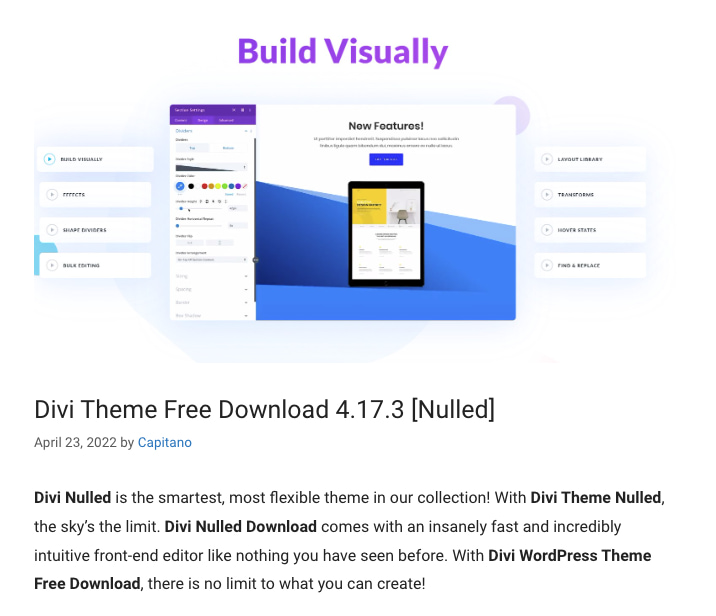 8 Reasons to Avoid Nulled WordPress Themes and Plugins