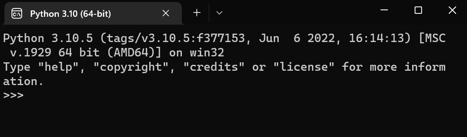 What Is a Python Interpreter?