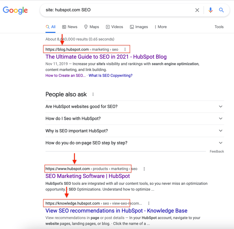 How to Search an Entire Website in Google in 3 Steps [+ Example]
