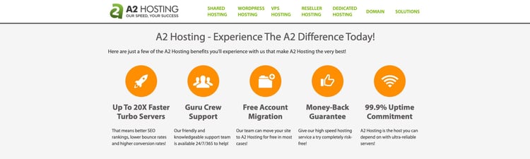 The Ultimate Guide to Web Hosting