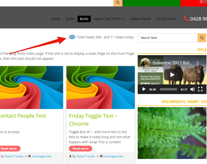 How to Display Total Views on WordPress Posts