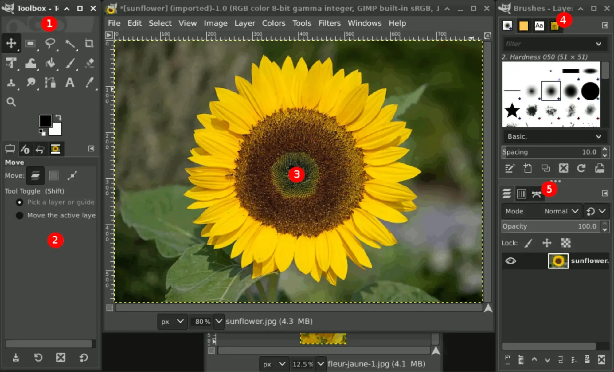 How to Resize an Image without Losing Quality