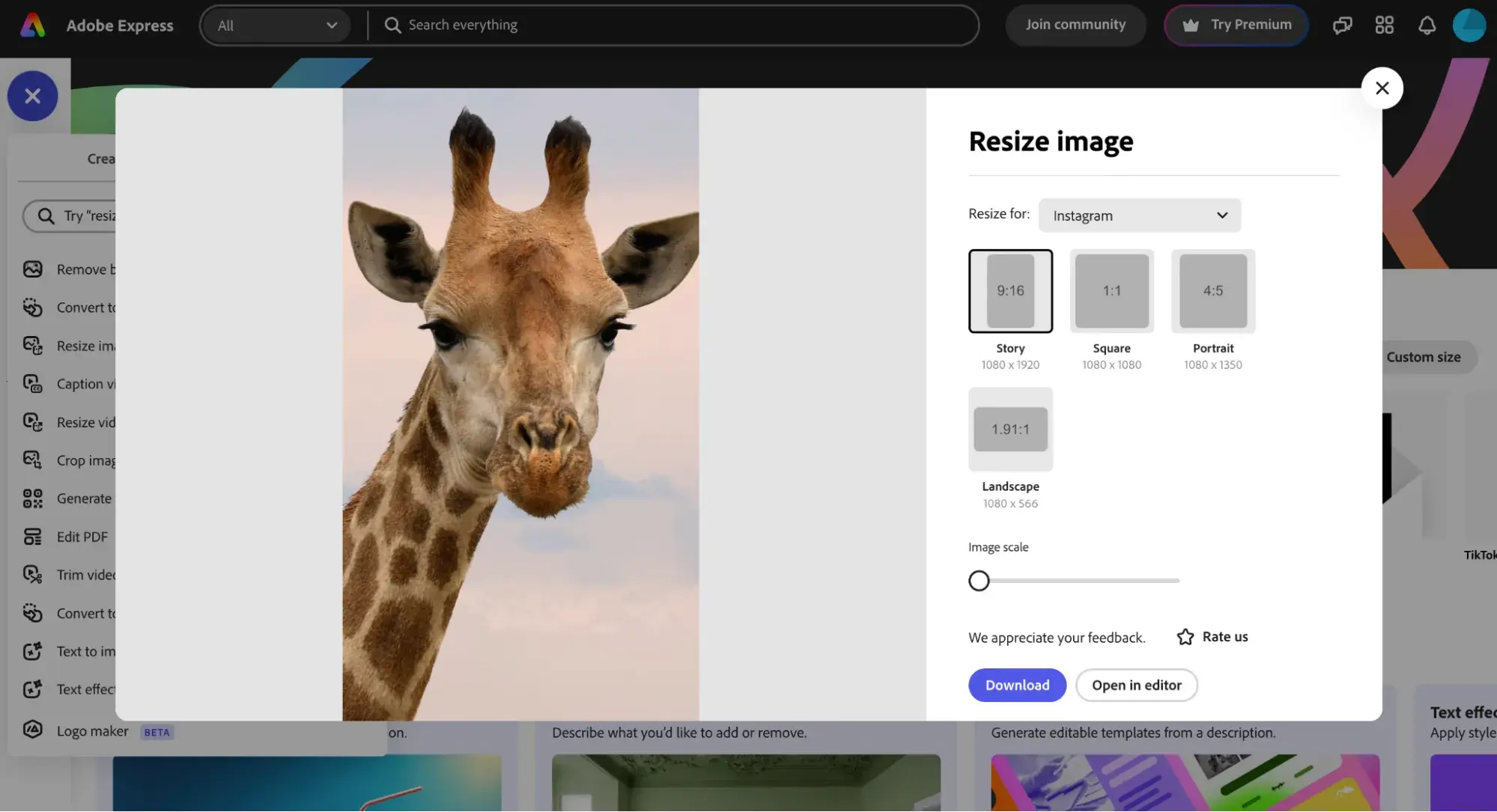 How to Resize an Image without Losing Quality